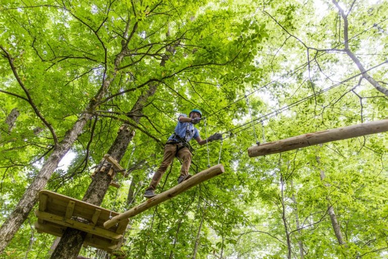 The Trekking Group - Treetop Trekking
