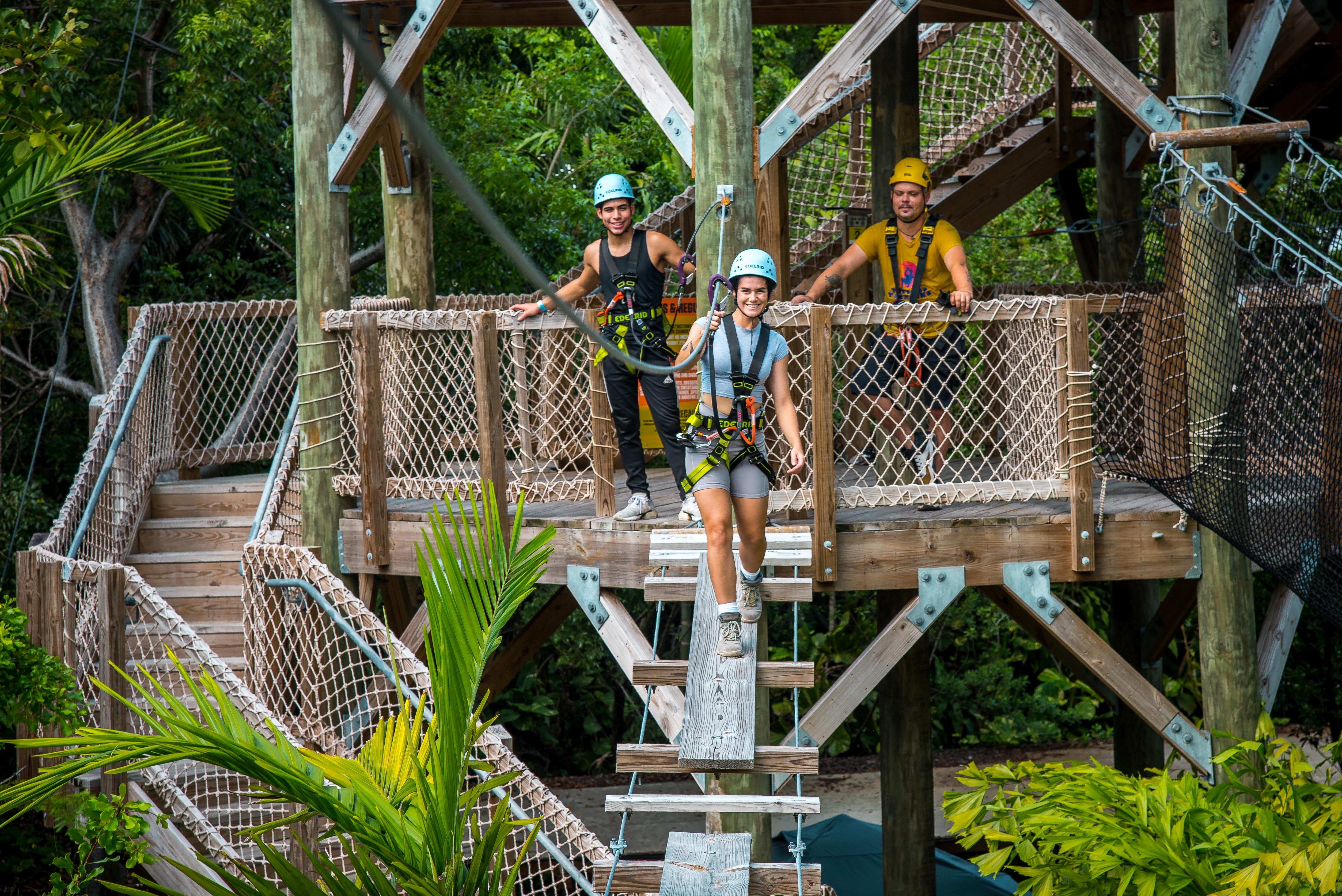 The Trekking Group - Treetop Trekking
