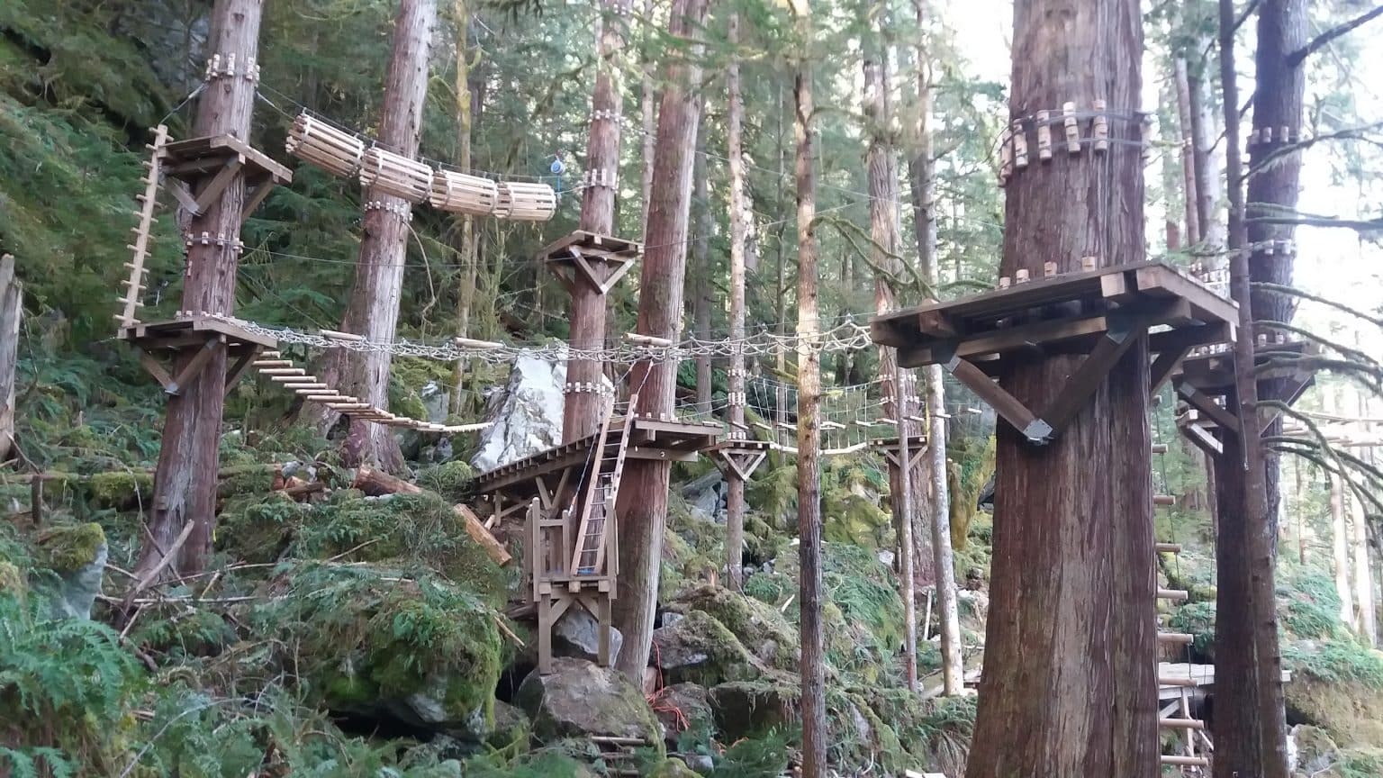 The Trekking Group - Young Life Camp Aerial Courses